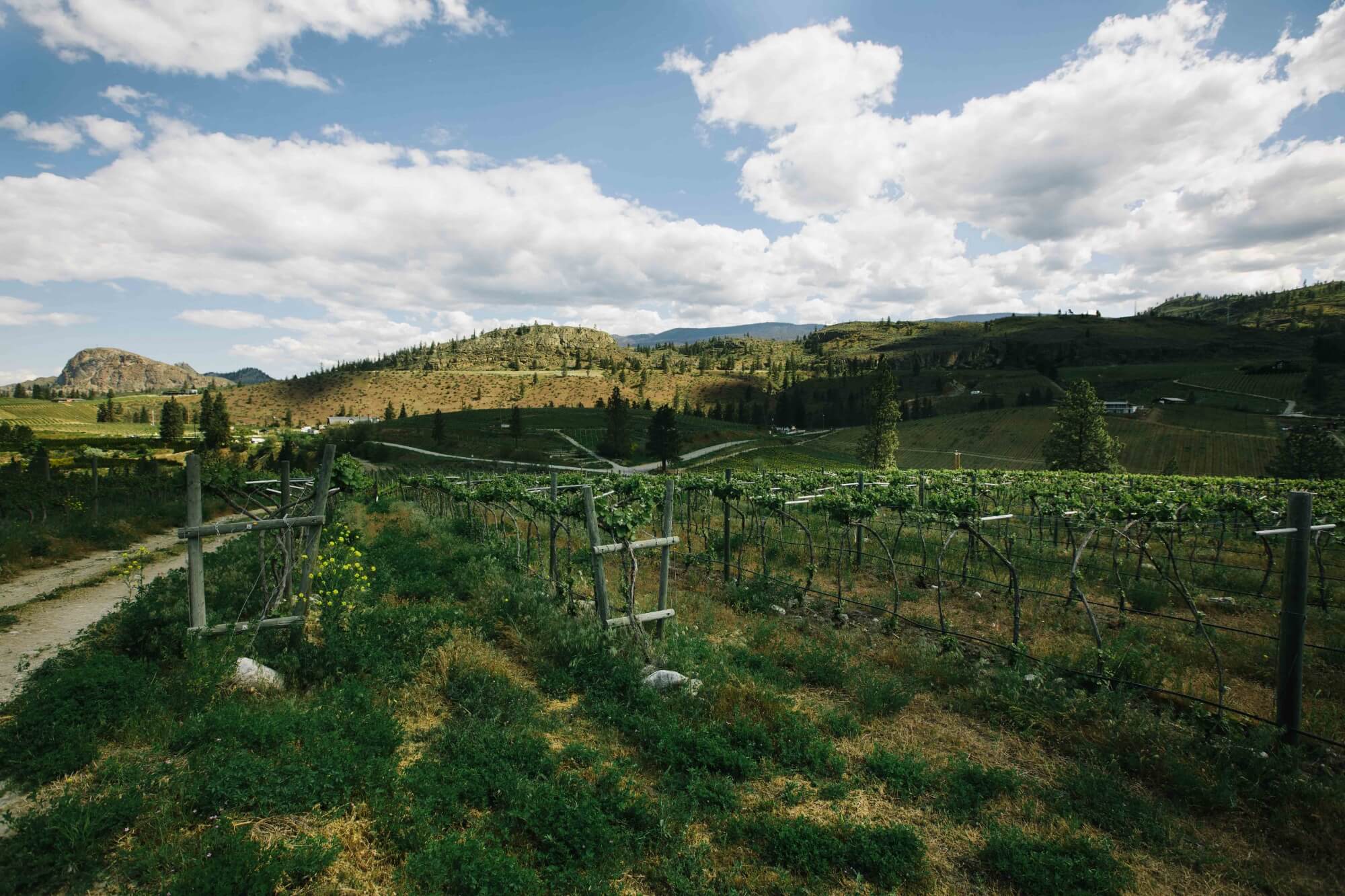 Noble Ridge Vineyard & Winery - Okanagan Wines